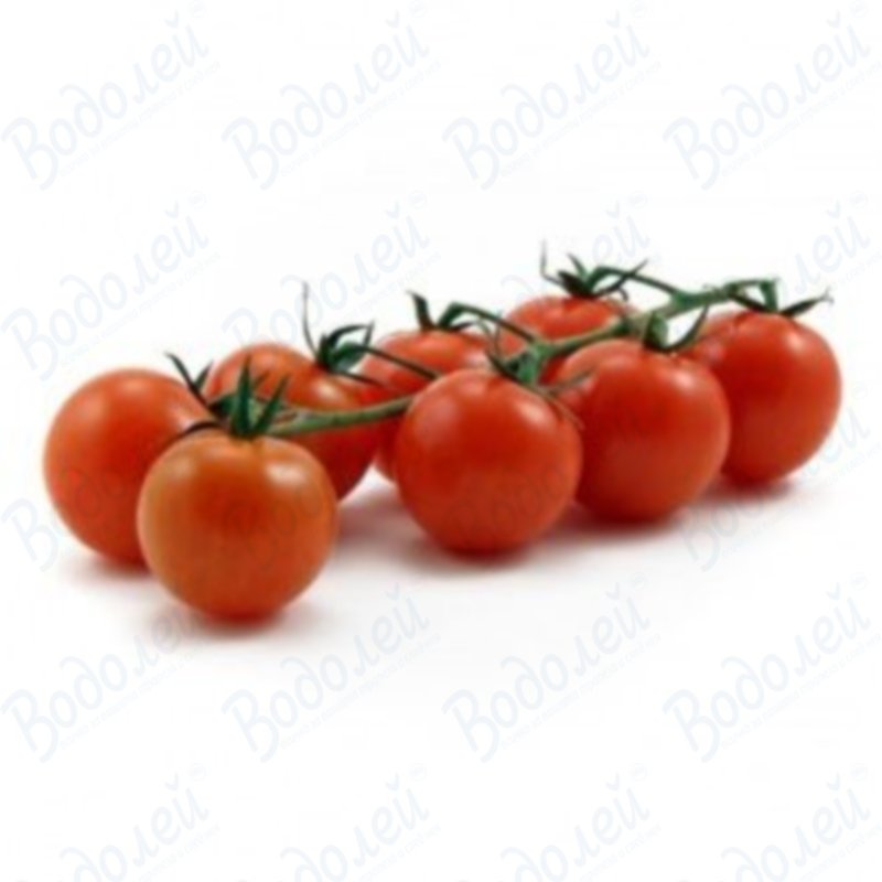 Vodolei.bg - Всичко за вашата трапеза и след нея...